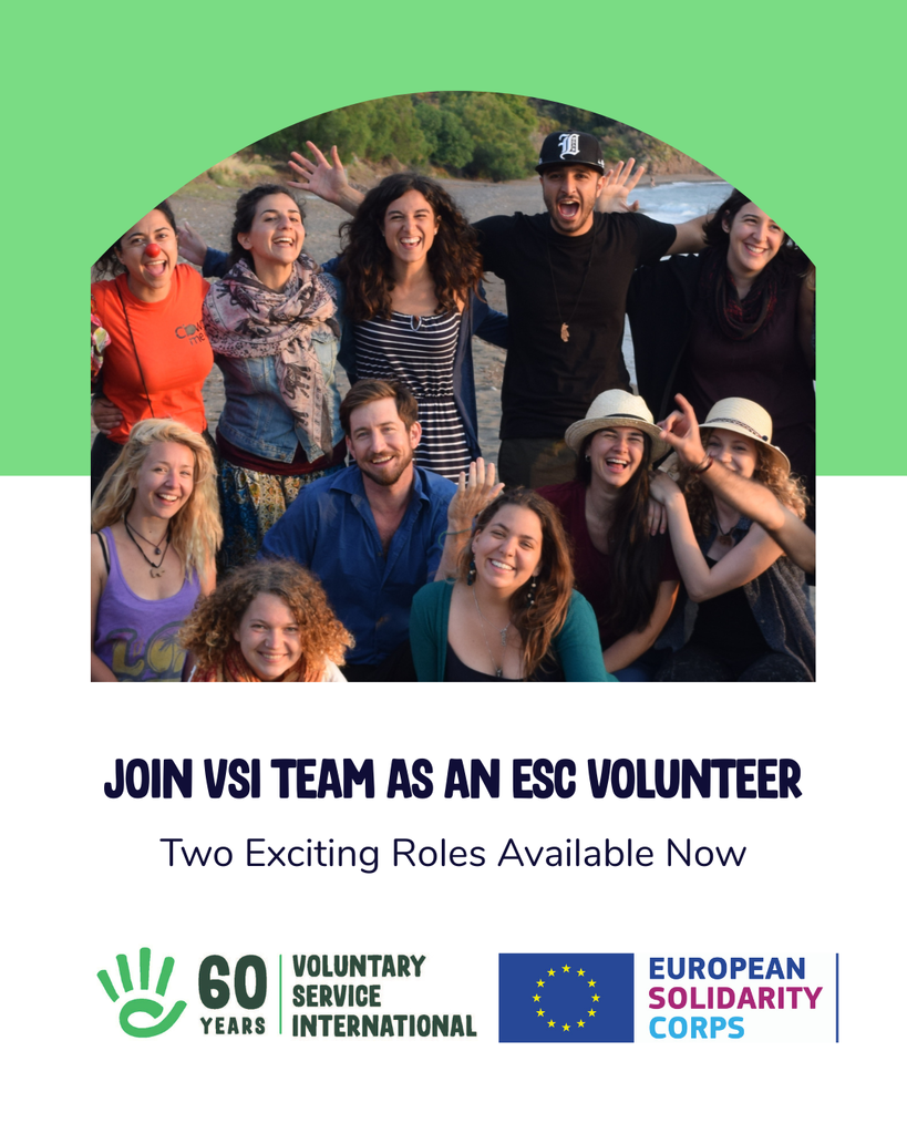 Join the VSI team as a long-term ESC volunteer: two roles available ...