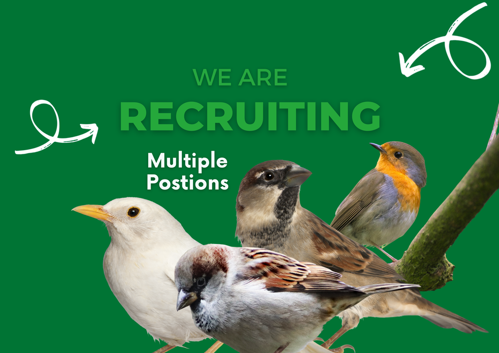 Volunteering with BirdLife Malta | VSI - Voluntary Service International
